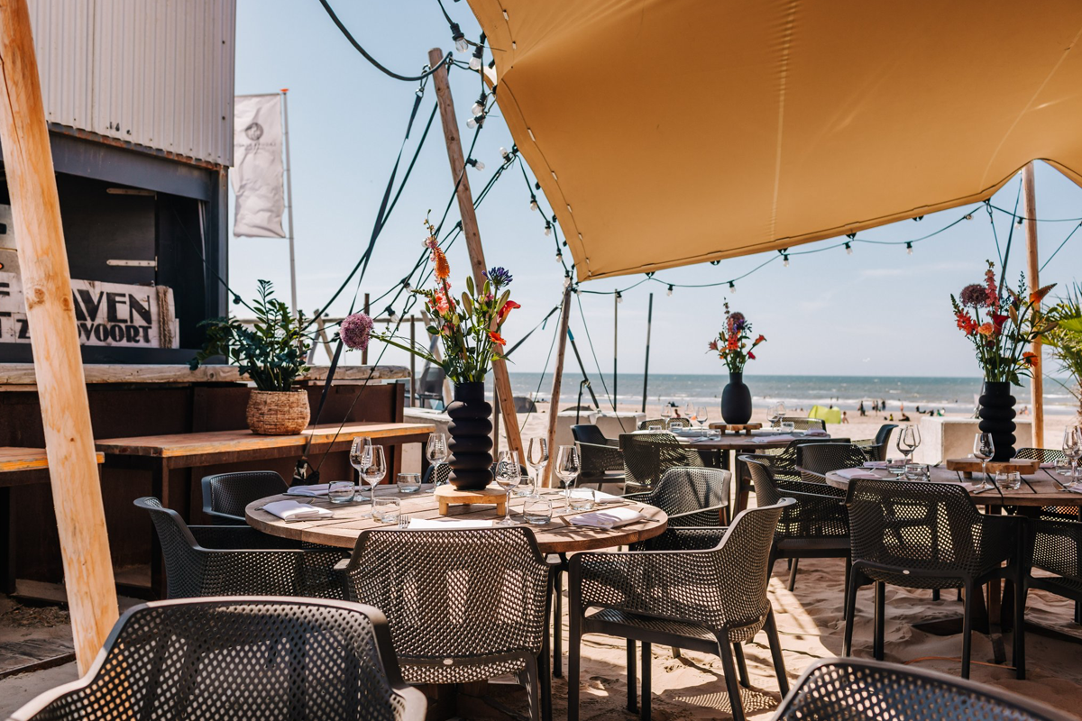 De Haven van Zandvoort | Actieprijs € 11,95 (-34%) - Tripper.be