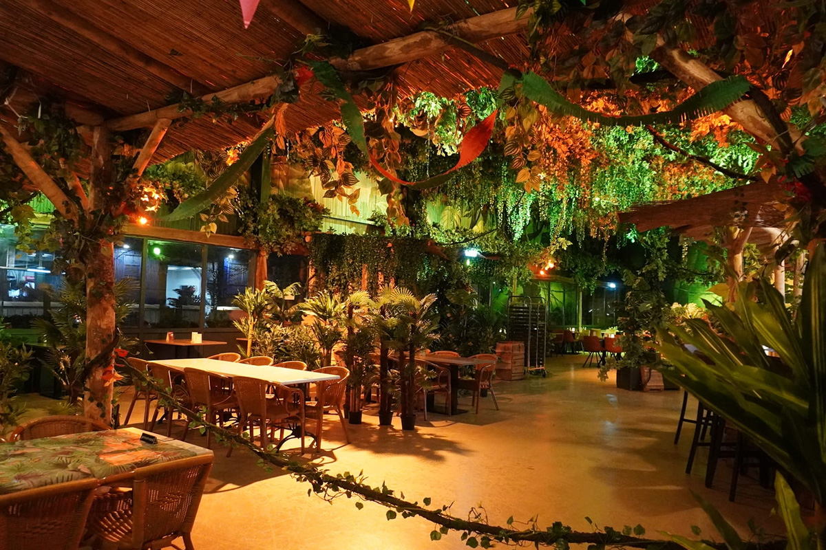 Jungle Café | Actieprijs € 19,90 (-34%) - Tripper.nl