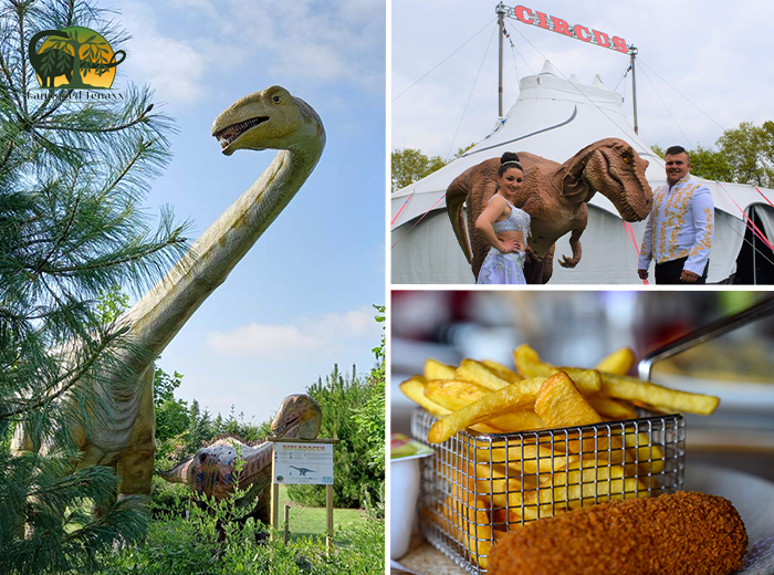 Bekijk de beste deals voor de laagste prijs! - Tripper.be