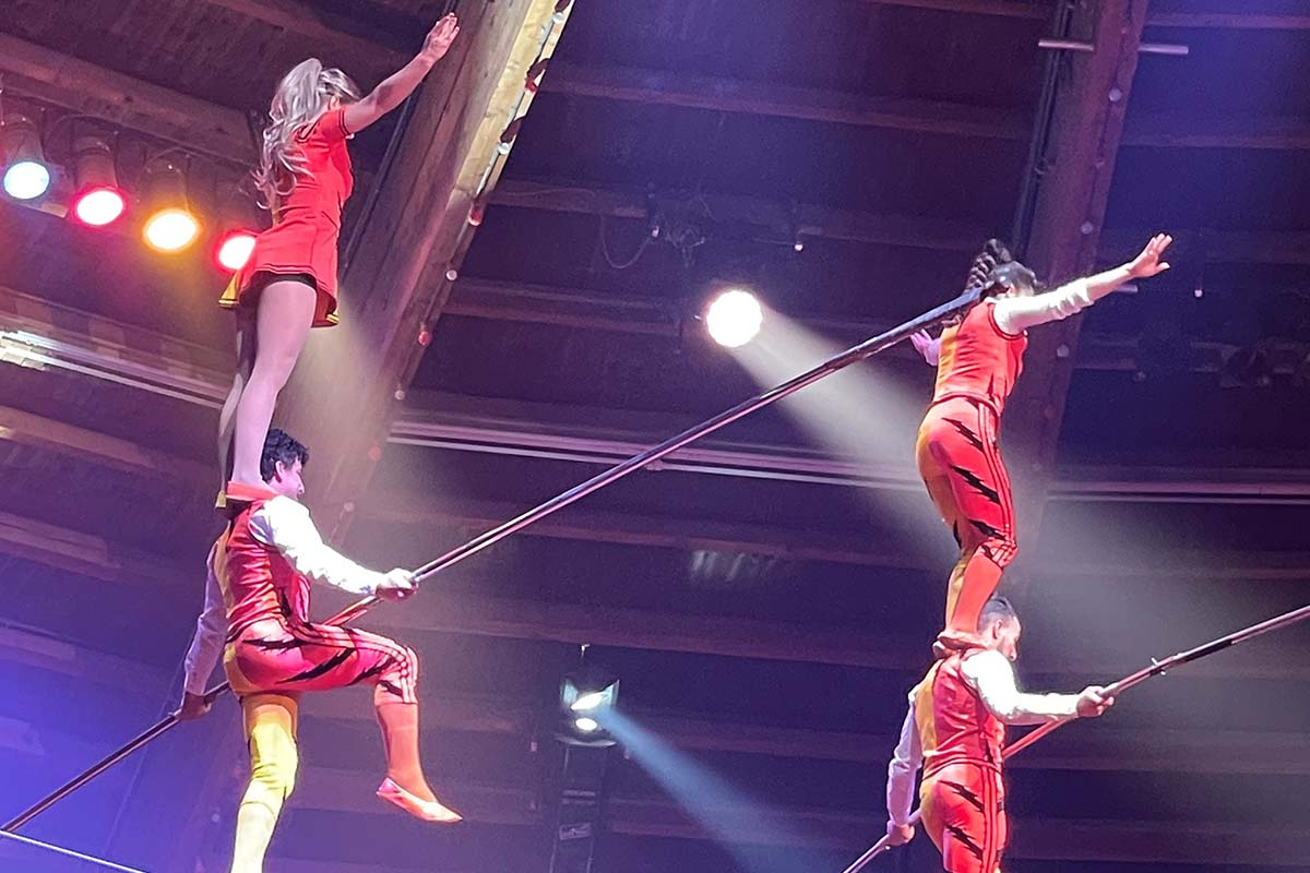 Noord-Hollands Wintercircus | Actieprijs € 25,50 (-40%) - Tripper.be