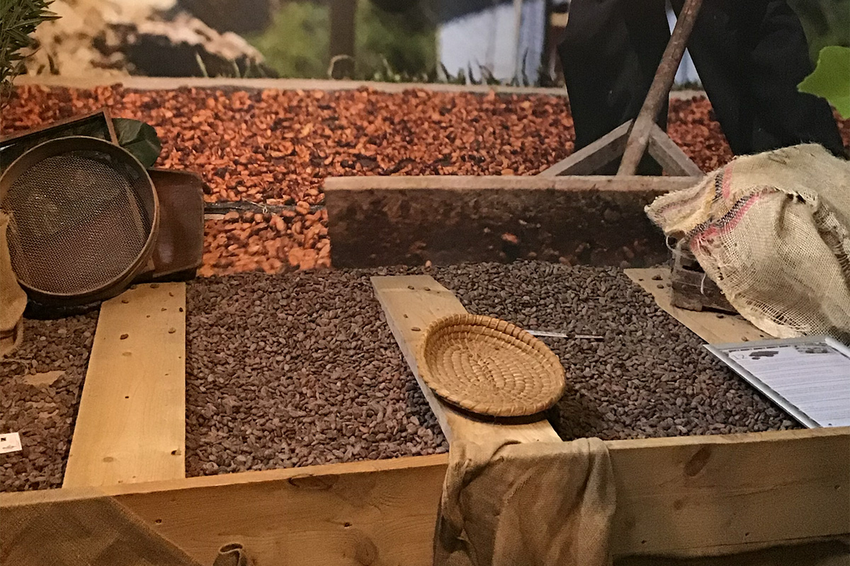 Sjakie's Chocolade Museum | Actieprijs € 8,50 (-29%) - Tripper.nl