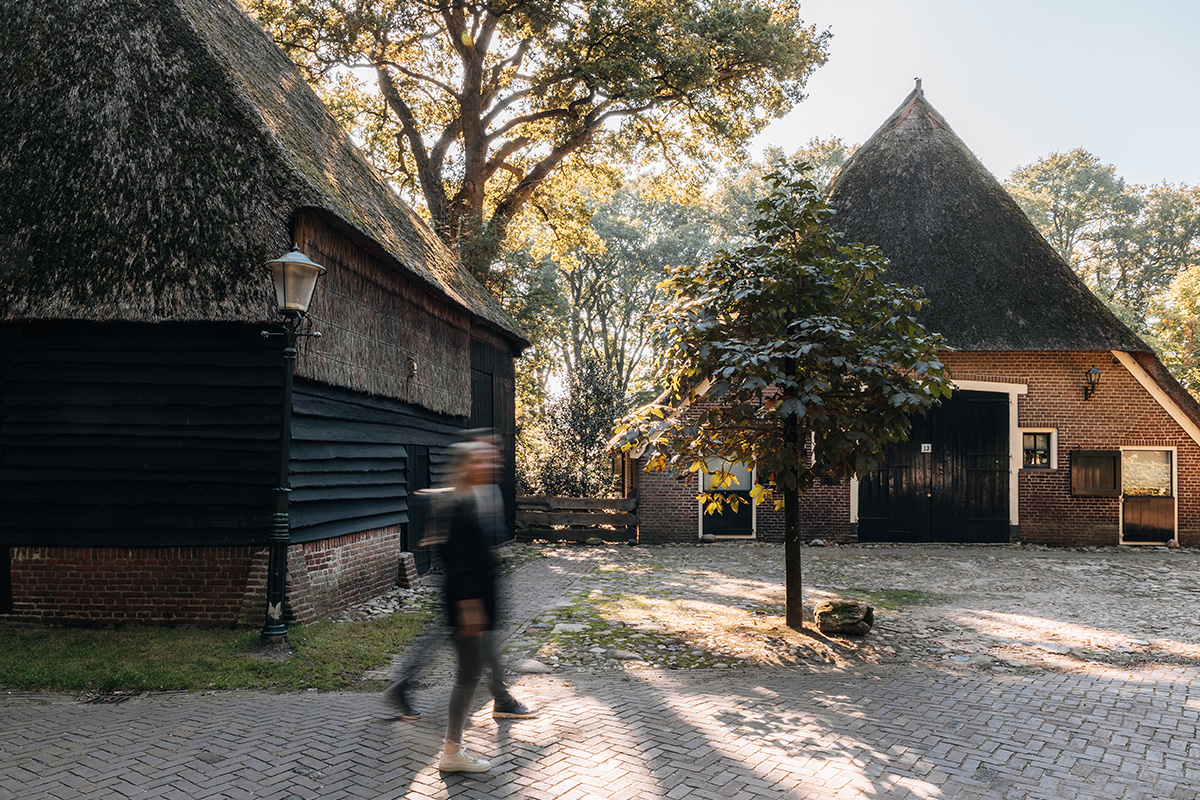 Zwerver in Zweeloo | Actieprijs € 15 (-30%) - Tripper.nl