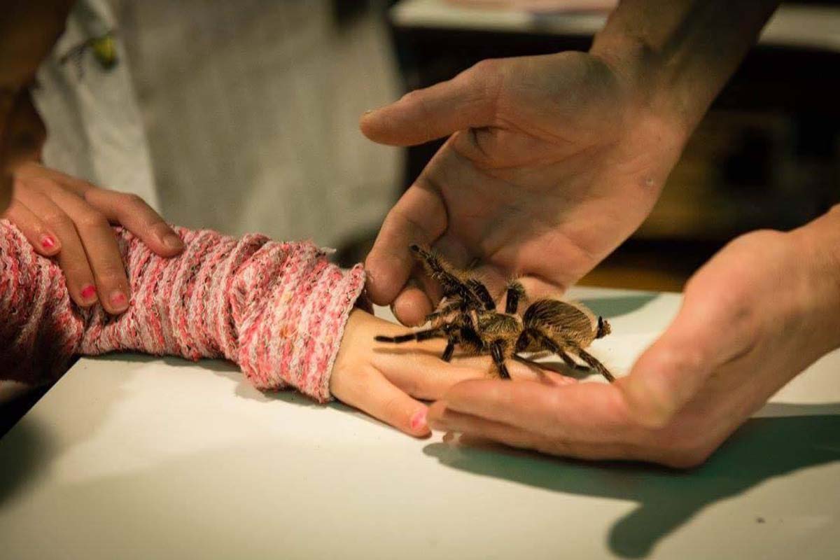 DoeZoo | Actieprijs € 6,50 (-32%) - Tripper.be