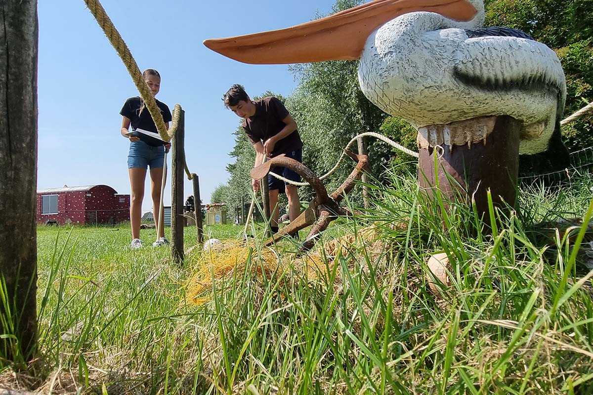 DoeZoo | Actieprijs € 6,50 (-32%) - Tripper.nl