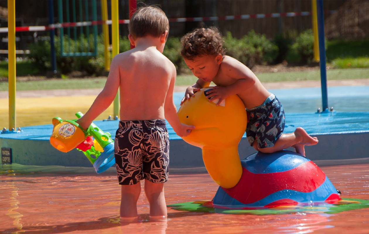 Steinerbos Belevenispark | Actieprijs € 8,50 (-32%) - Tripper.nl