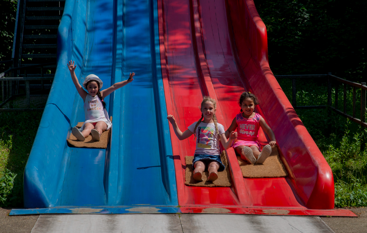 Steinerbos Belevenispark | Actieprijs € 8,50 (-32%) - Tripper.nl