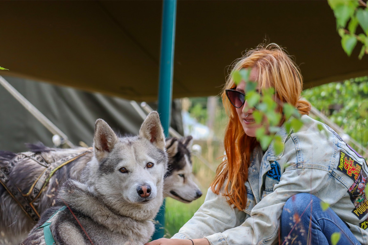 Dutch Husky Experience | Actieprijs € 39,95 (-20%) - Tripper.nl